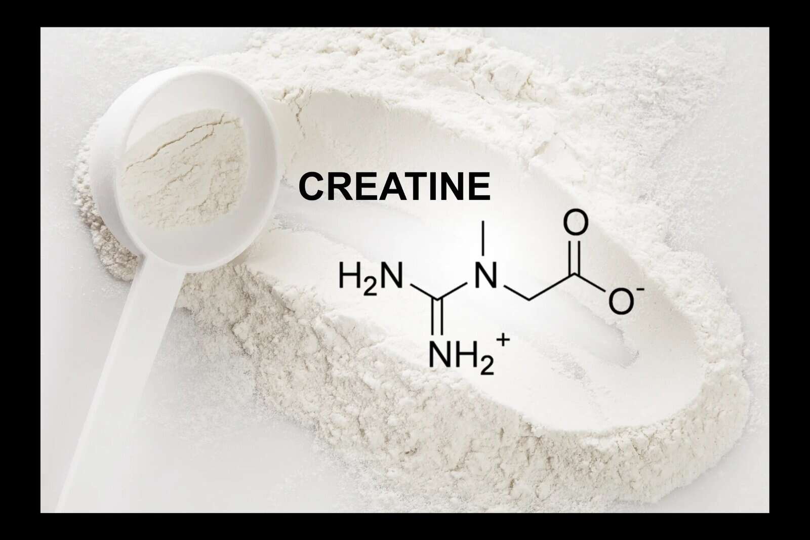 Benefits of Creatine for Women | Aspire Personal Training for Women
